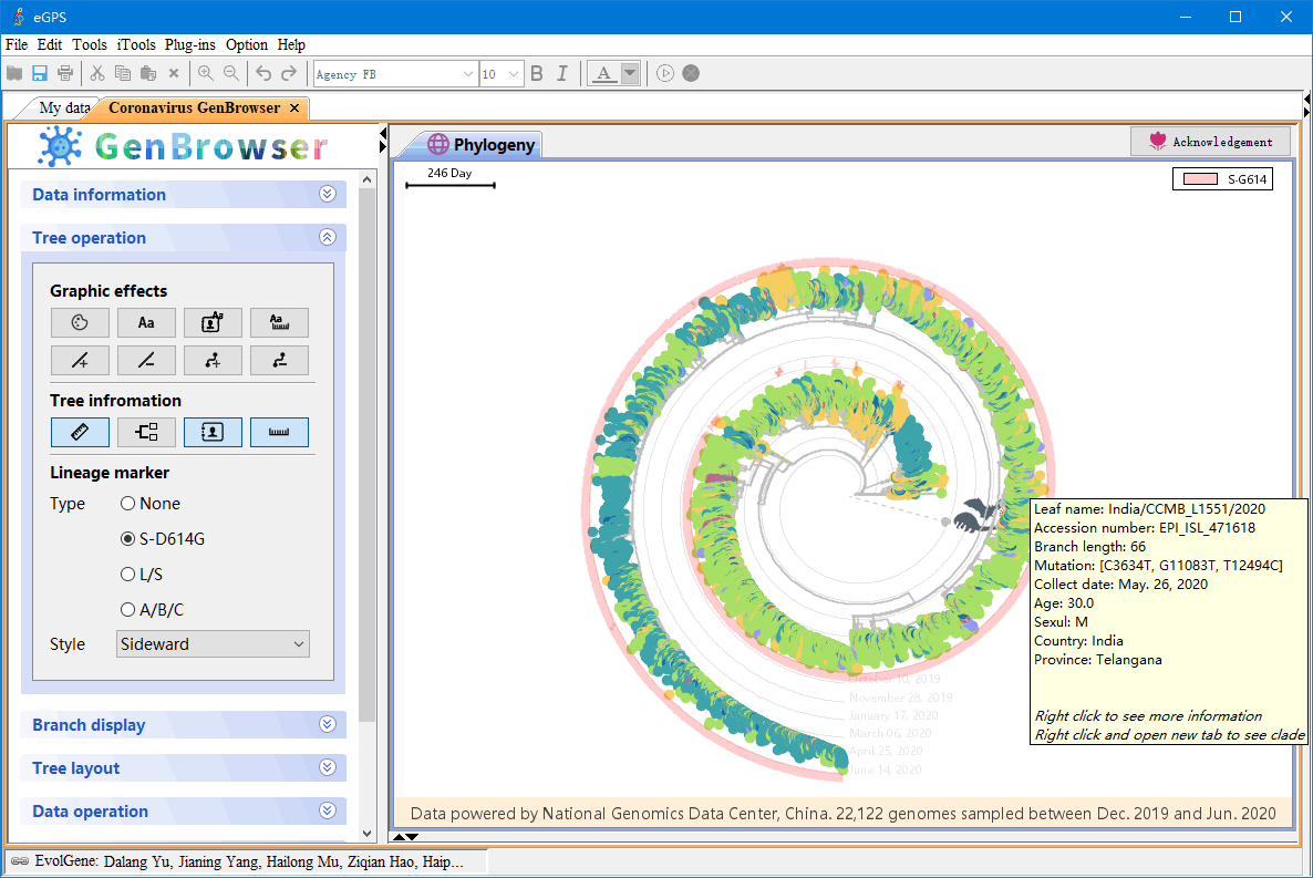 Coronavirus GenBrowser